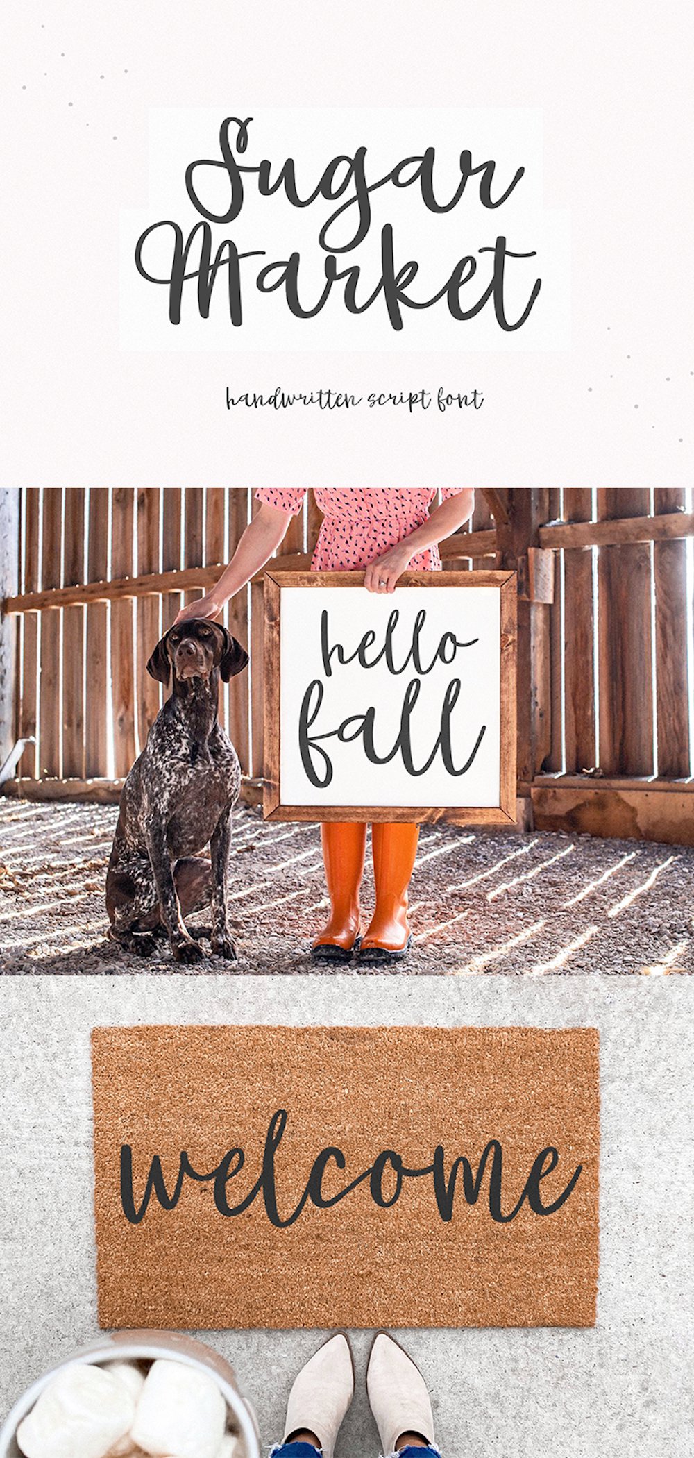 Sugar Market - Handwritten Script Font