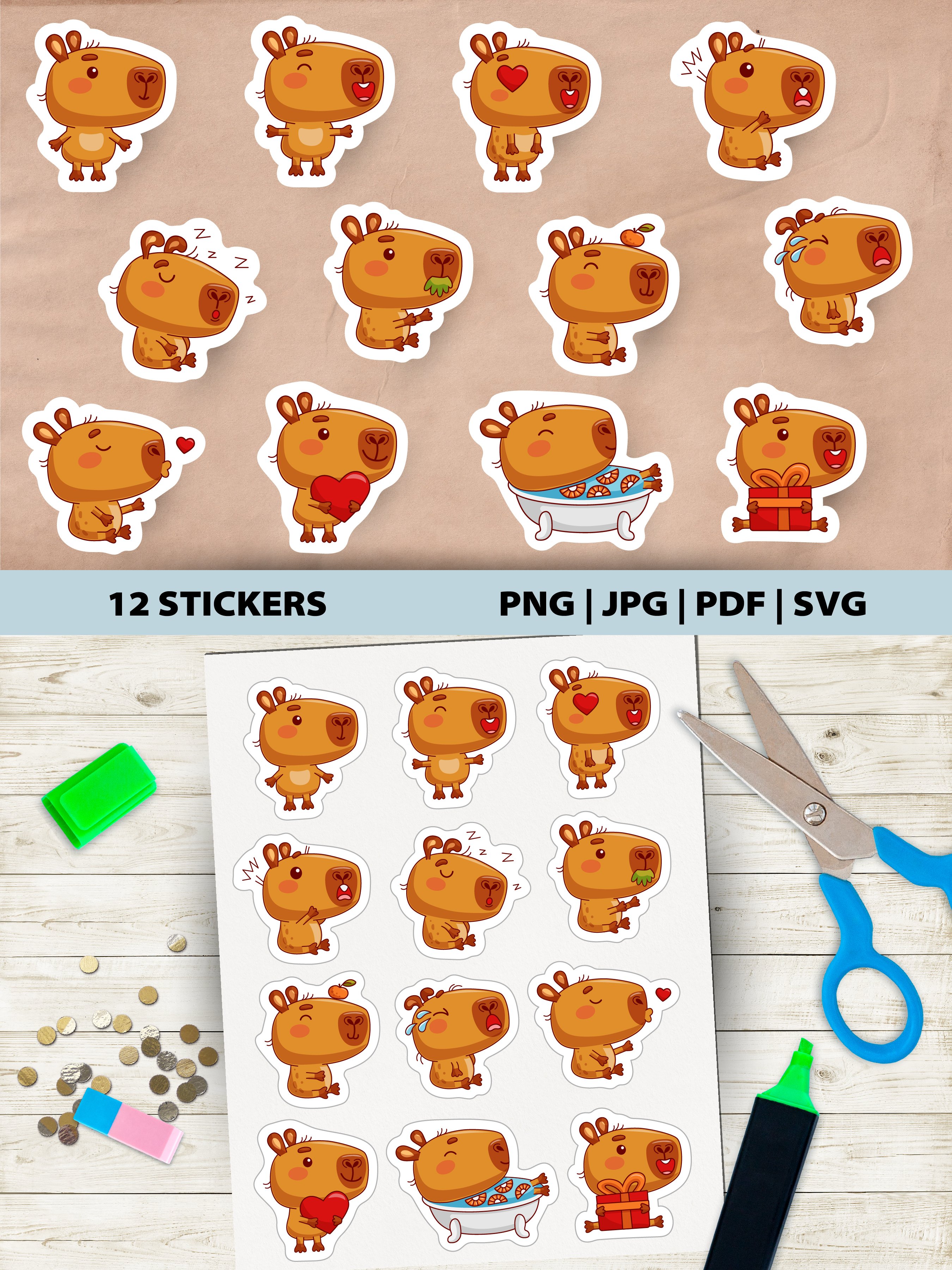 Cute capybara 12 stickers