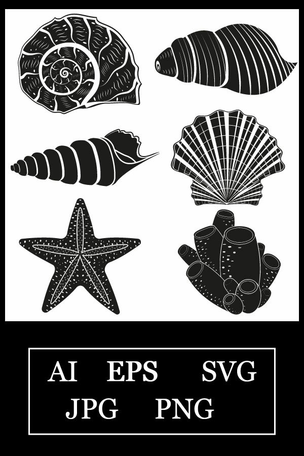 Set of seashells, SVG format (1760408)