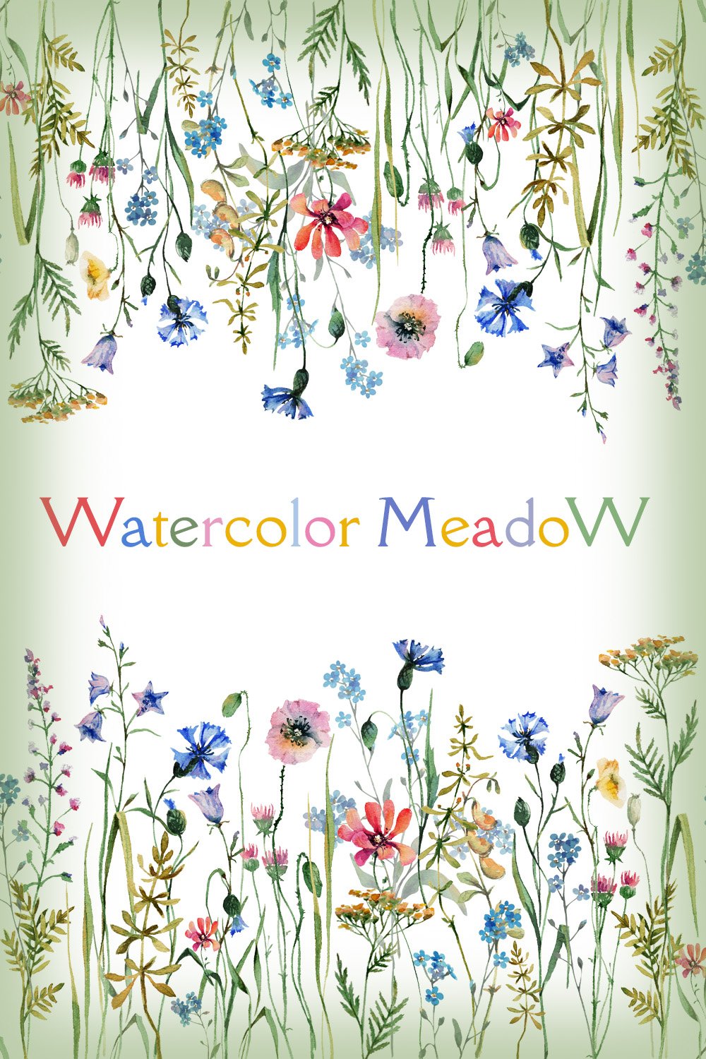 Watercolor Meadow Flowers Clipart and Seamless Border