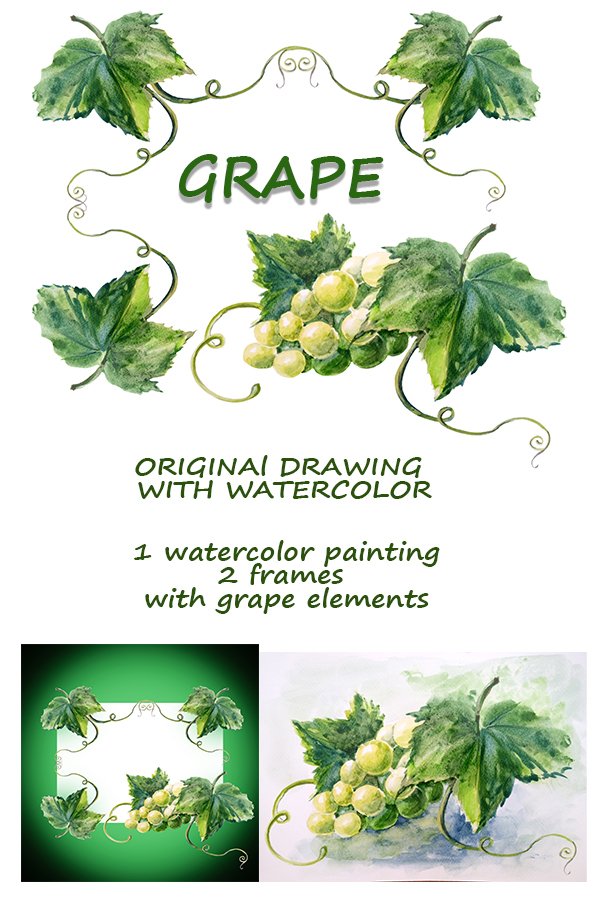 bunch of grapes, watercolor painting, clipart 2 frames