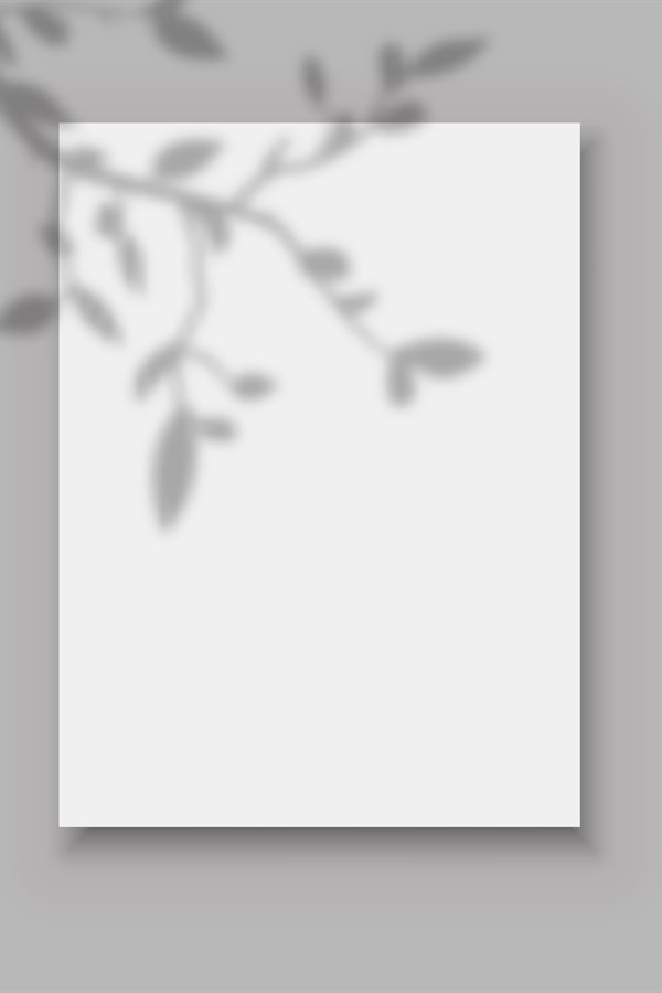 Overlay leaves shadow. Realistic poster on wall front view m