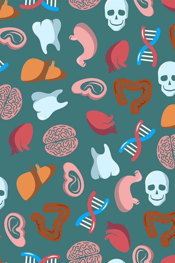 Internal human organs seamless pattern