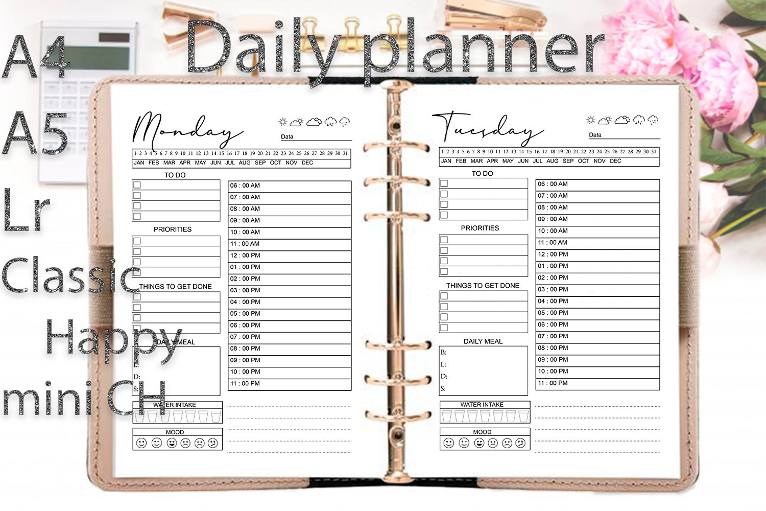 Daily Planner 2021 Printable, Happy Planner, A4, (1115143)