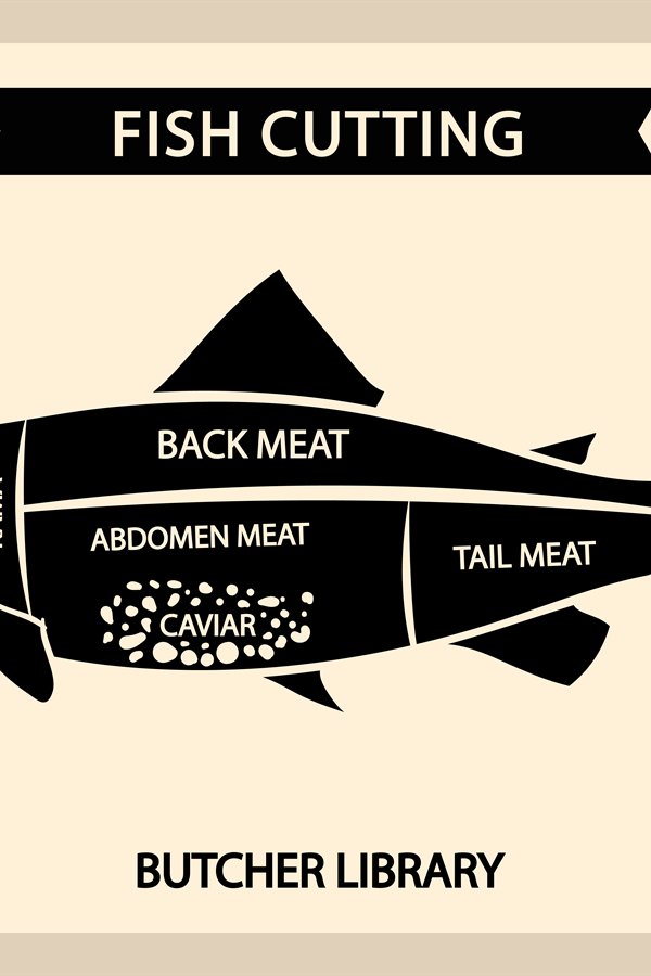 Fish meat cutting vector vintage chart, cuts guide diagram