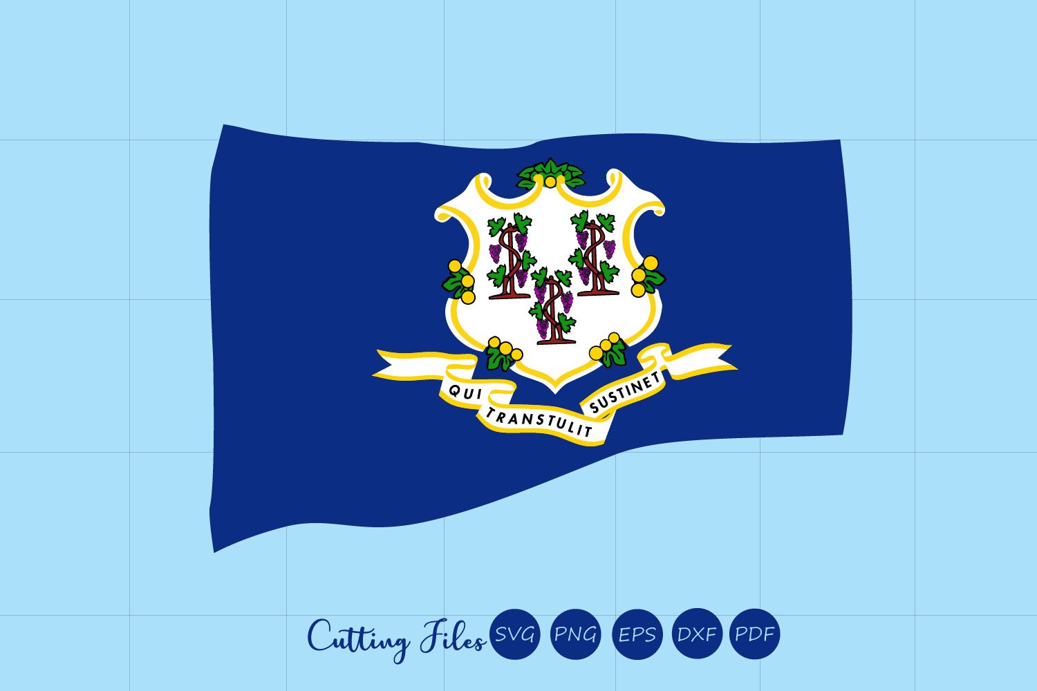 CT state with flag background