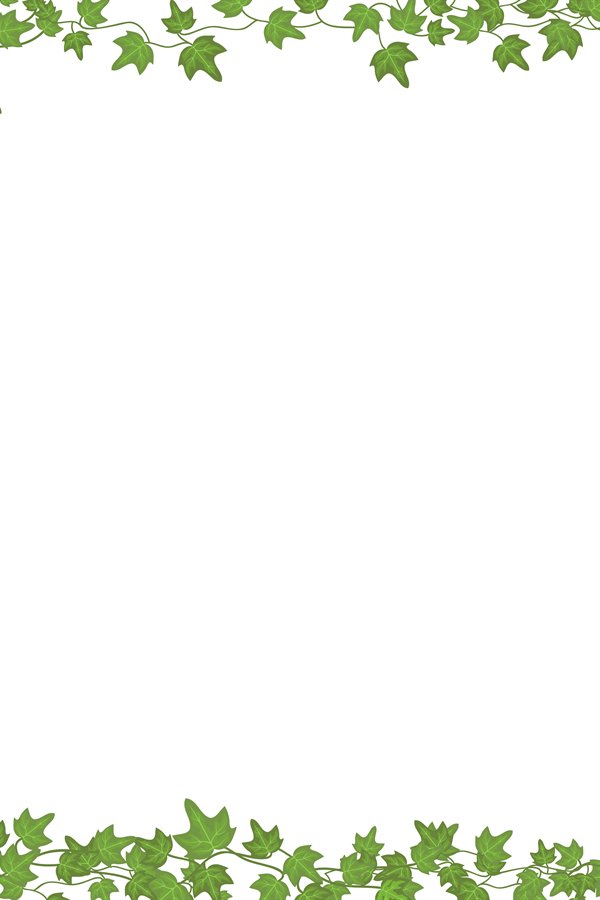 Ivy vines with green leaves. Floral vector rectangular frame