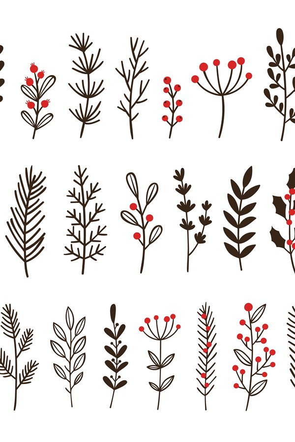 Hand drawn winter leaves and branches. Floral twig, botanica