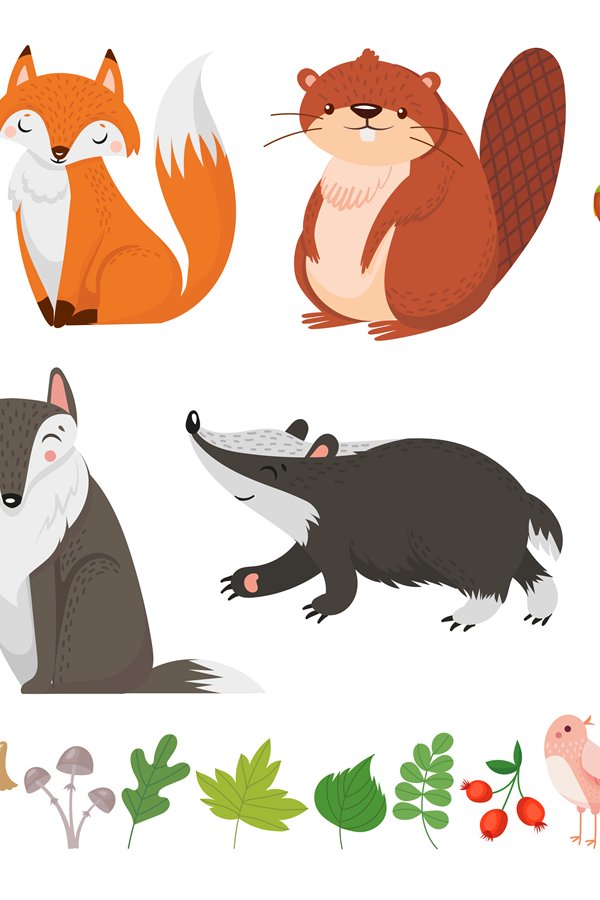 Funny wood animals. Wild forest animal, happy woodland fox a