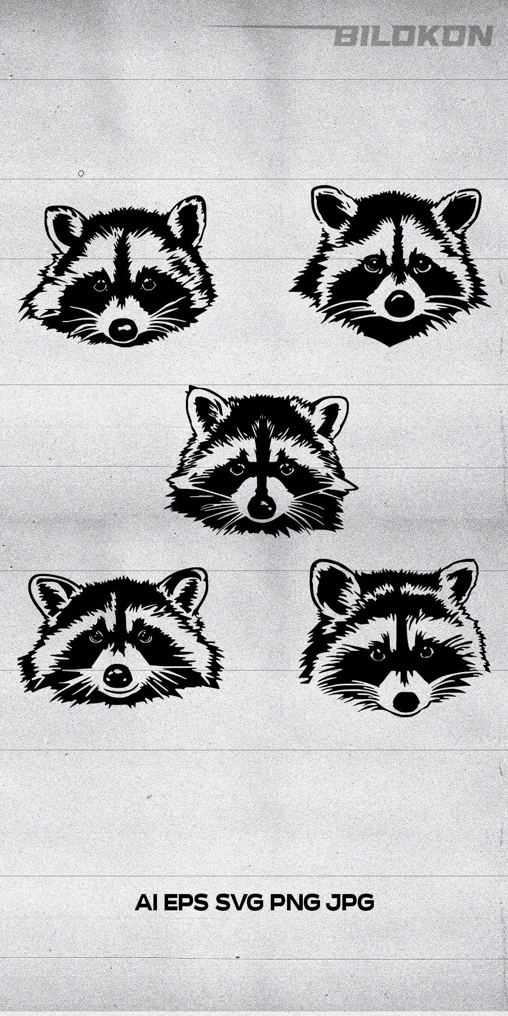 Raccoon head Vector illustration, SVG