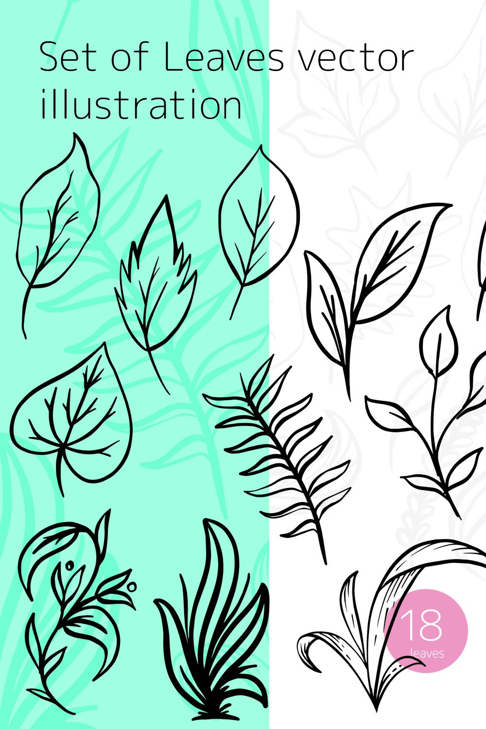 Set of Leaves vector illustration