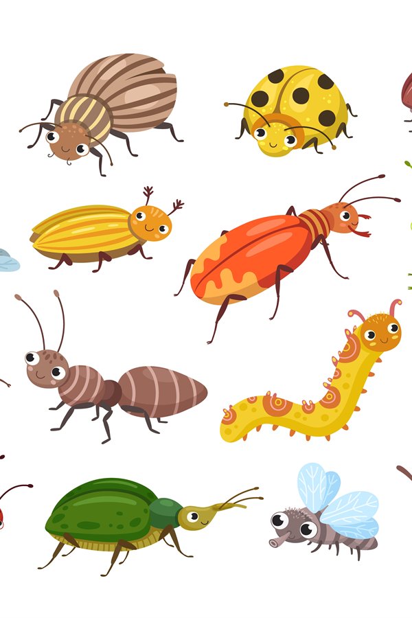 Cartoon beetle. Funny smiling bugs, children beetles. Happy