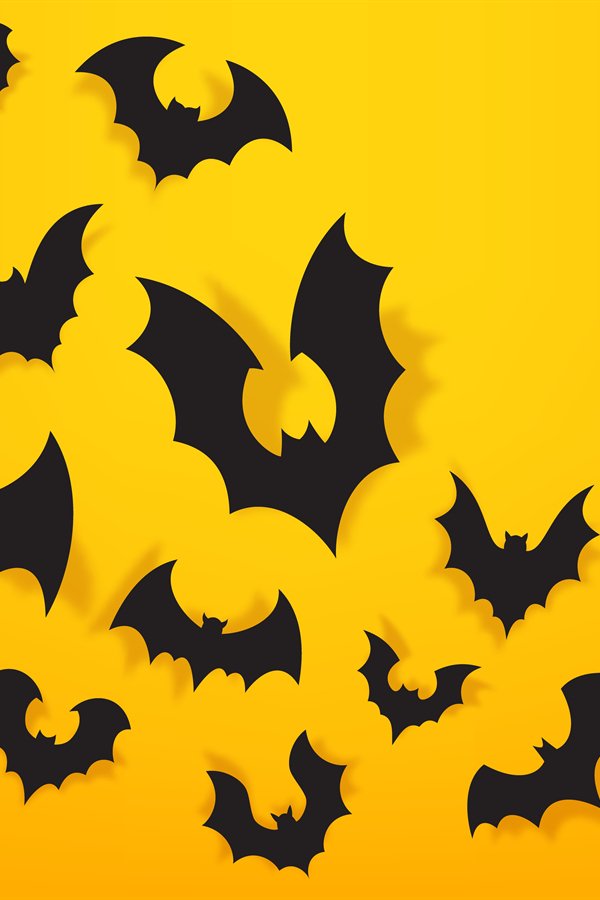Paper bats background. Halloween orange banner with spooky b