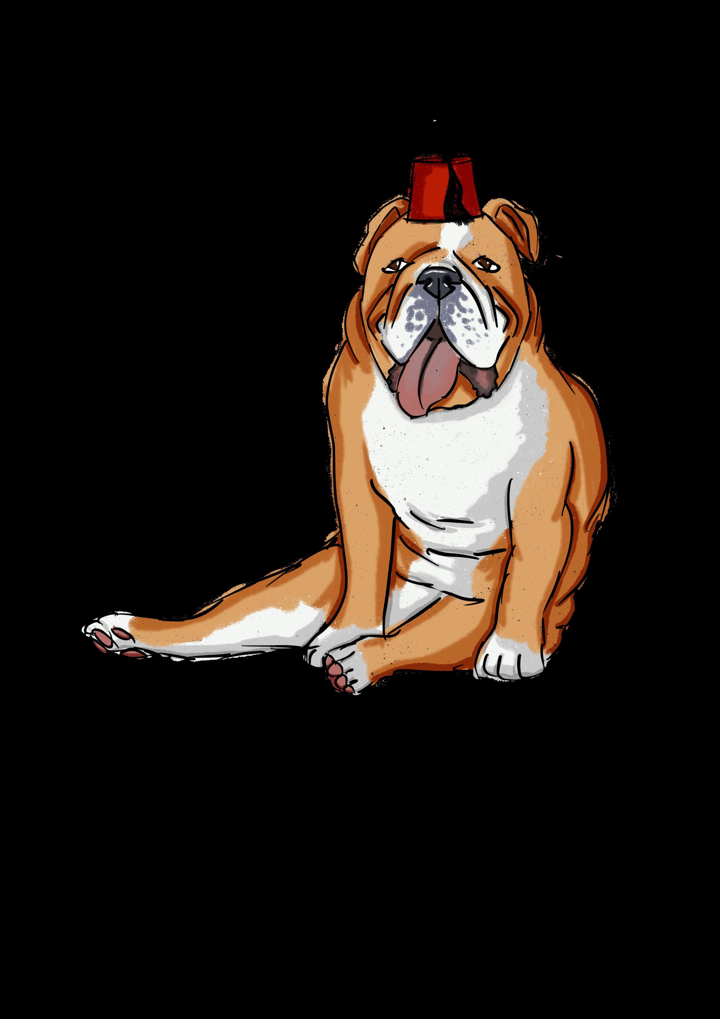 Dapper Dog - Bulldog in a fez