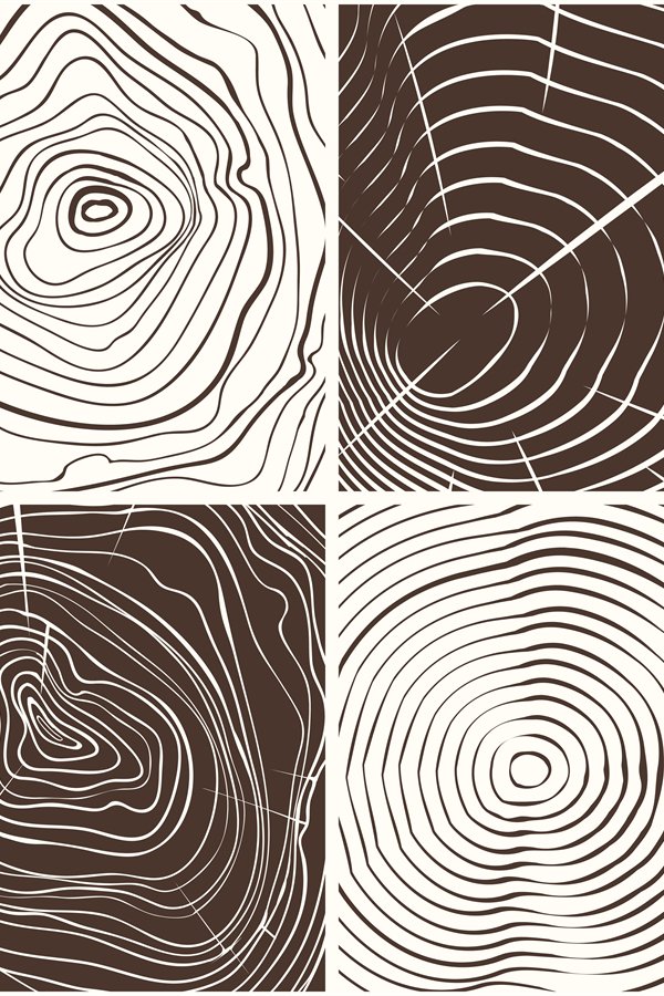 Wood rings texture background