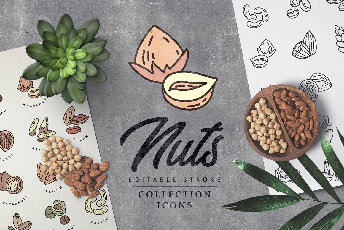 Nuts & seeds icons & logos