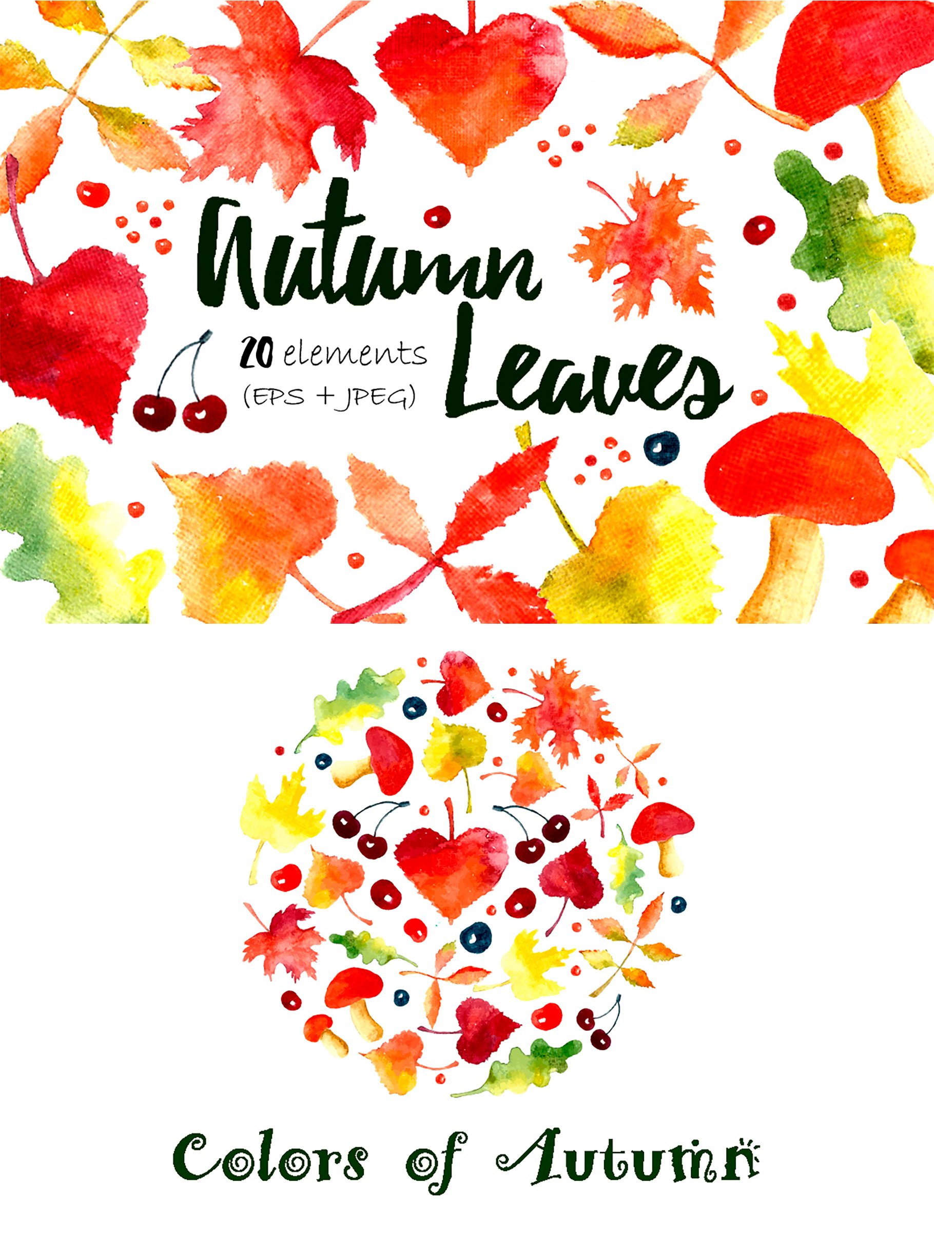 Watercolor autumn leaves (1814236)