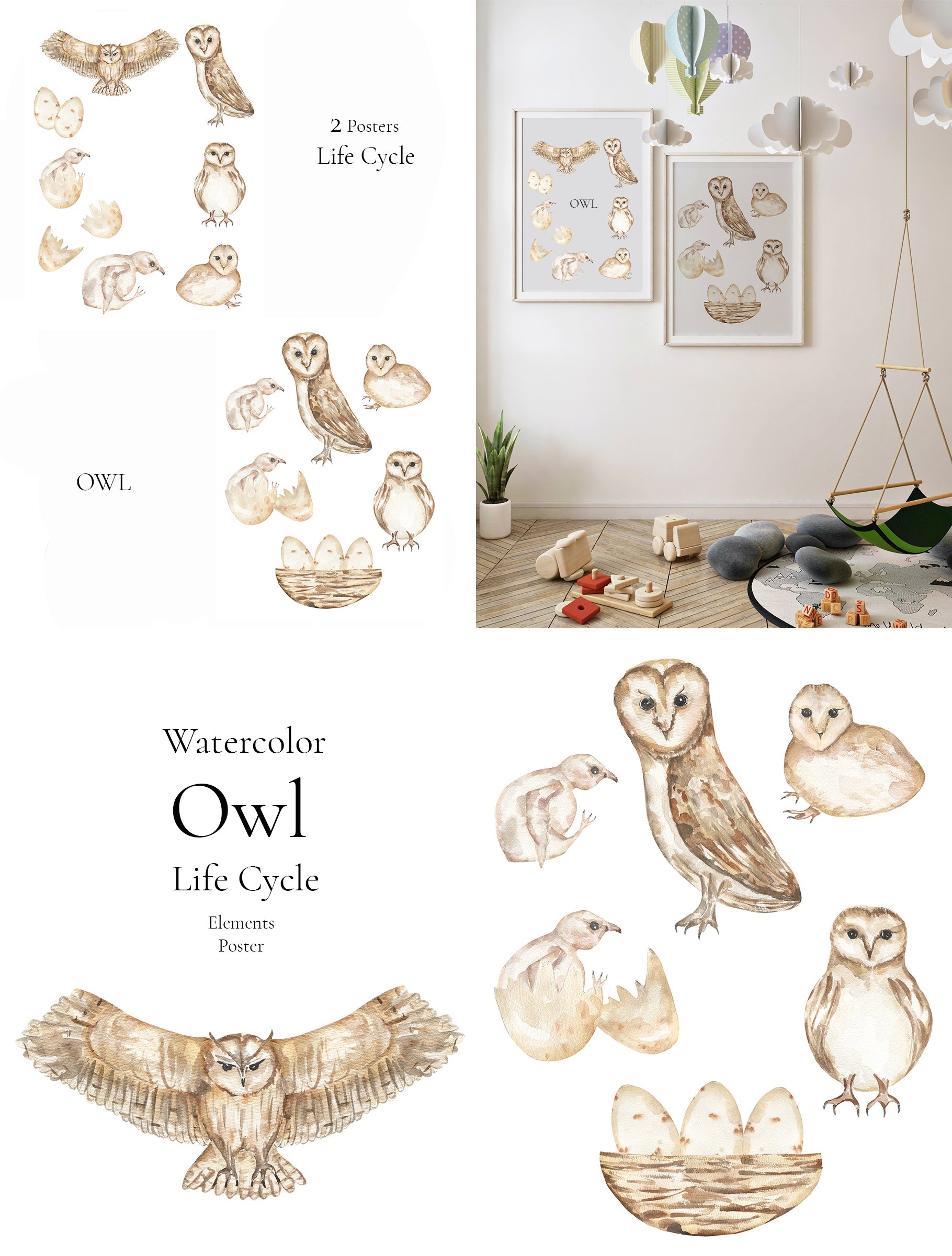 Watercolor Owl Life Cycle Set Bundle
