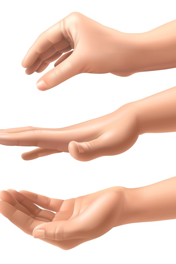 Realistic hands. Woman various gestures hand holding, extrus