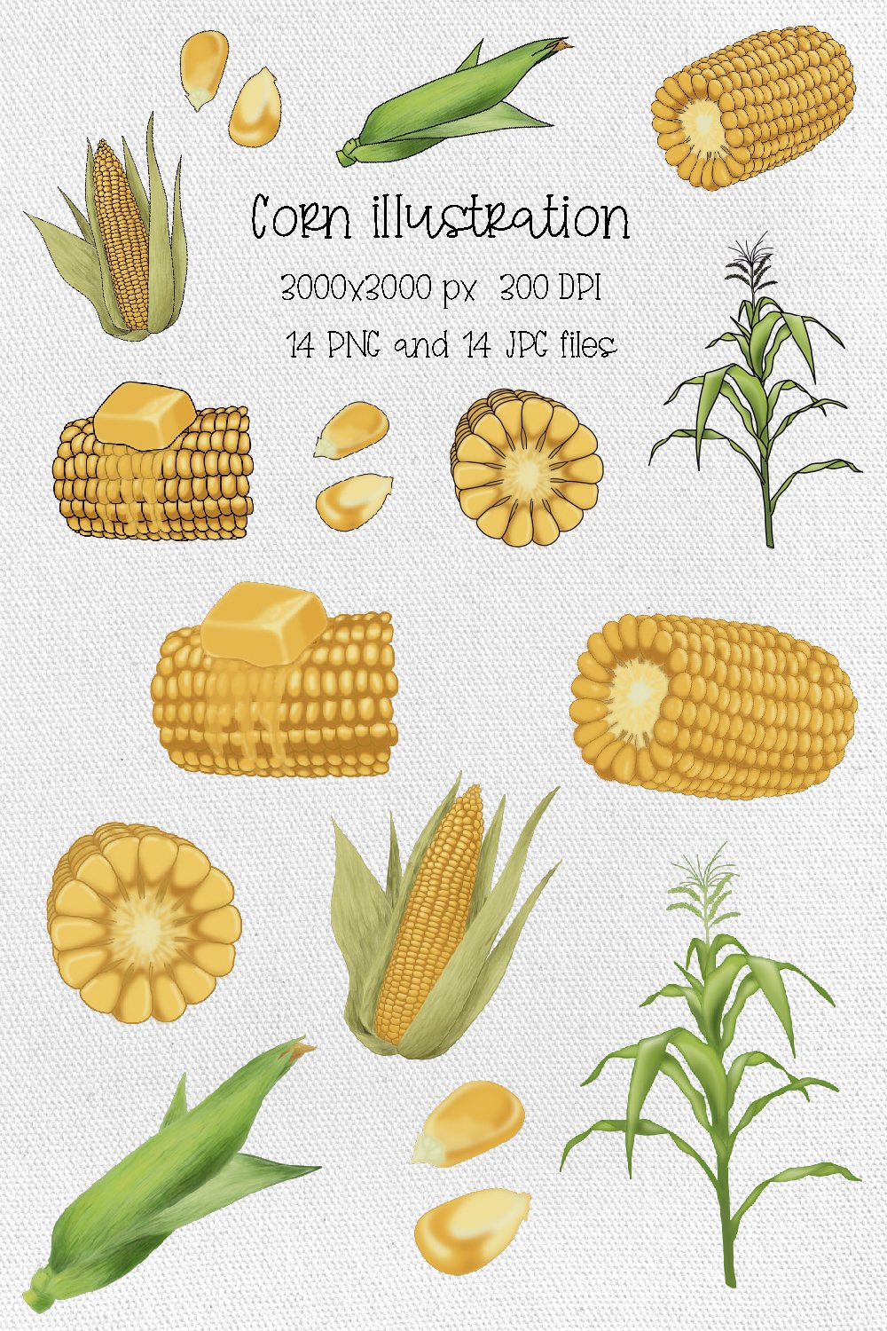 Corn illustration.Golden maize harvest.Cartoon food 14 files