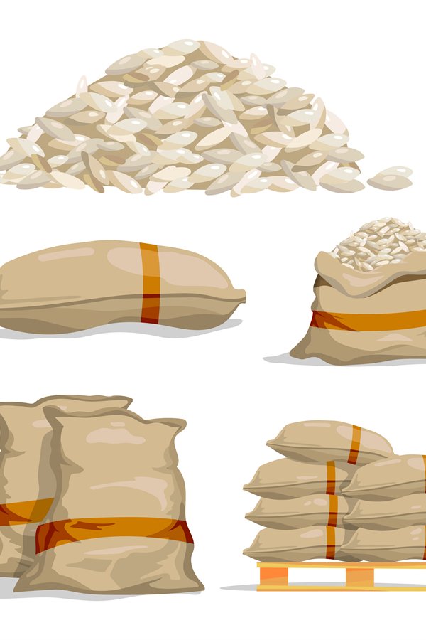 Different sacks of white rice. Food storage vector illustrat