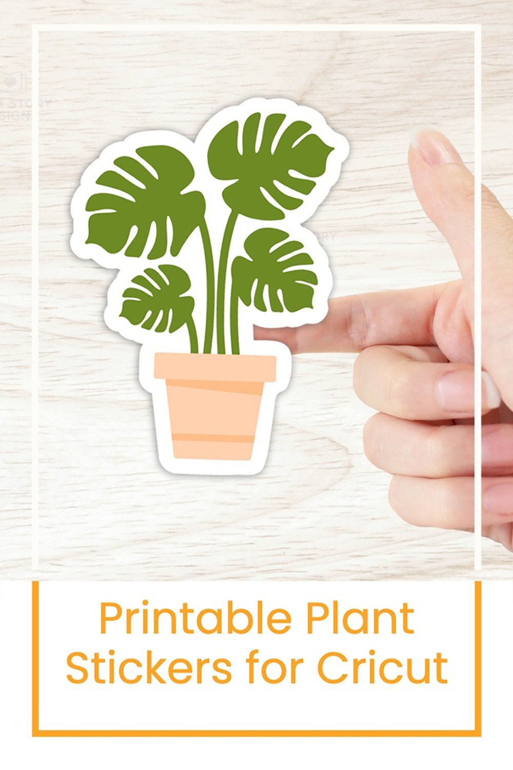 Printable Plant Stickers | Succulent Stickers