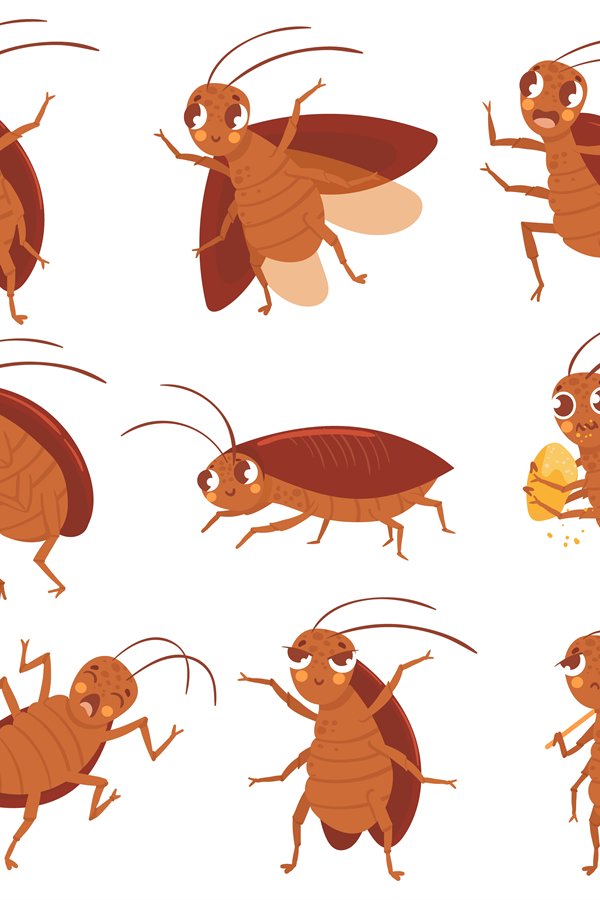 Cartoon cockroach mascot. Angry cockroaches, insect pests an