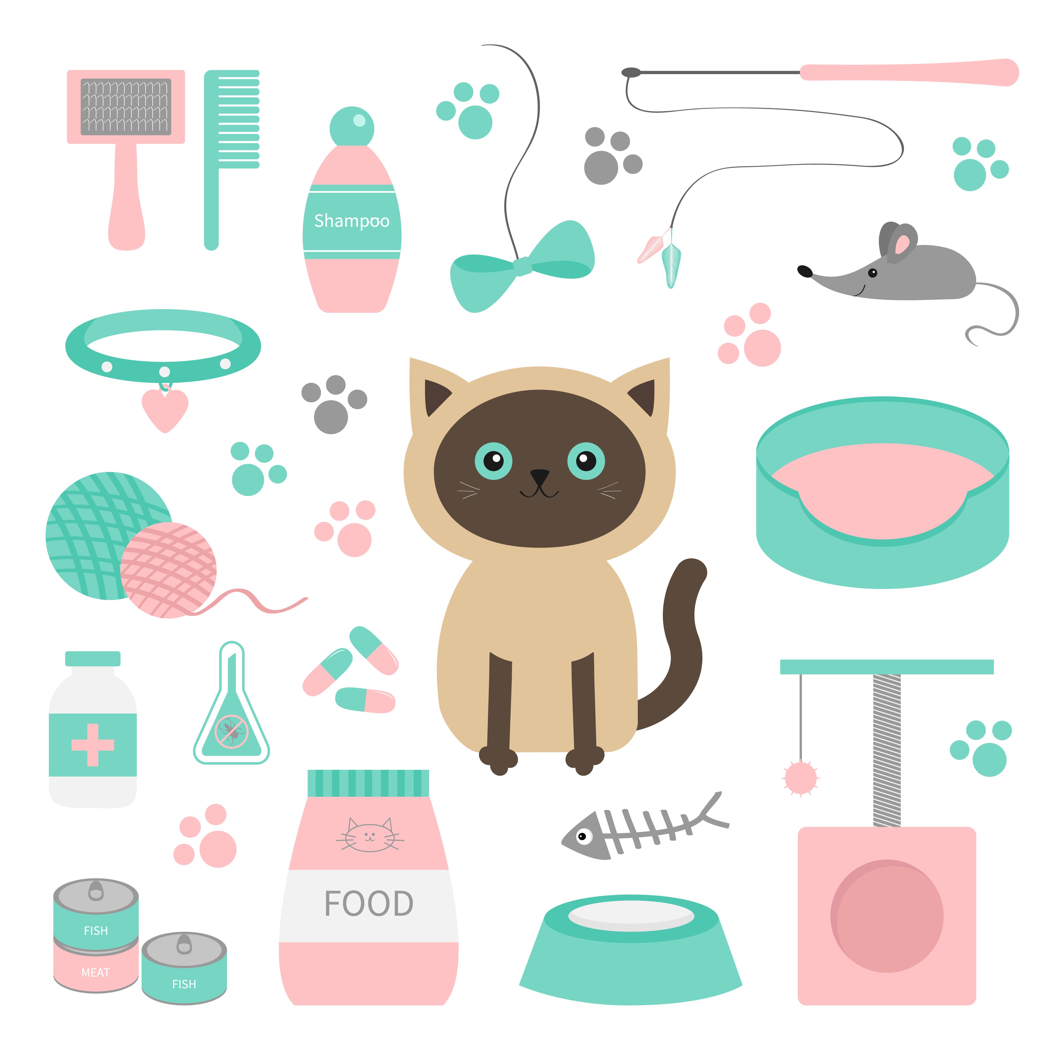 Siamese cat. Stuff set. Vector