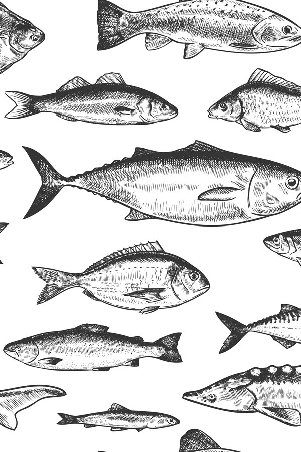 Fish seamless pattern. Hand drawn different sea and river fi