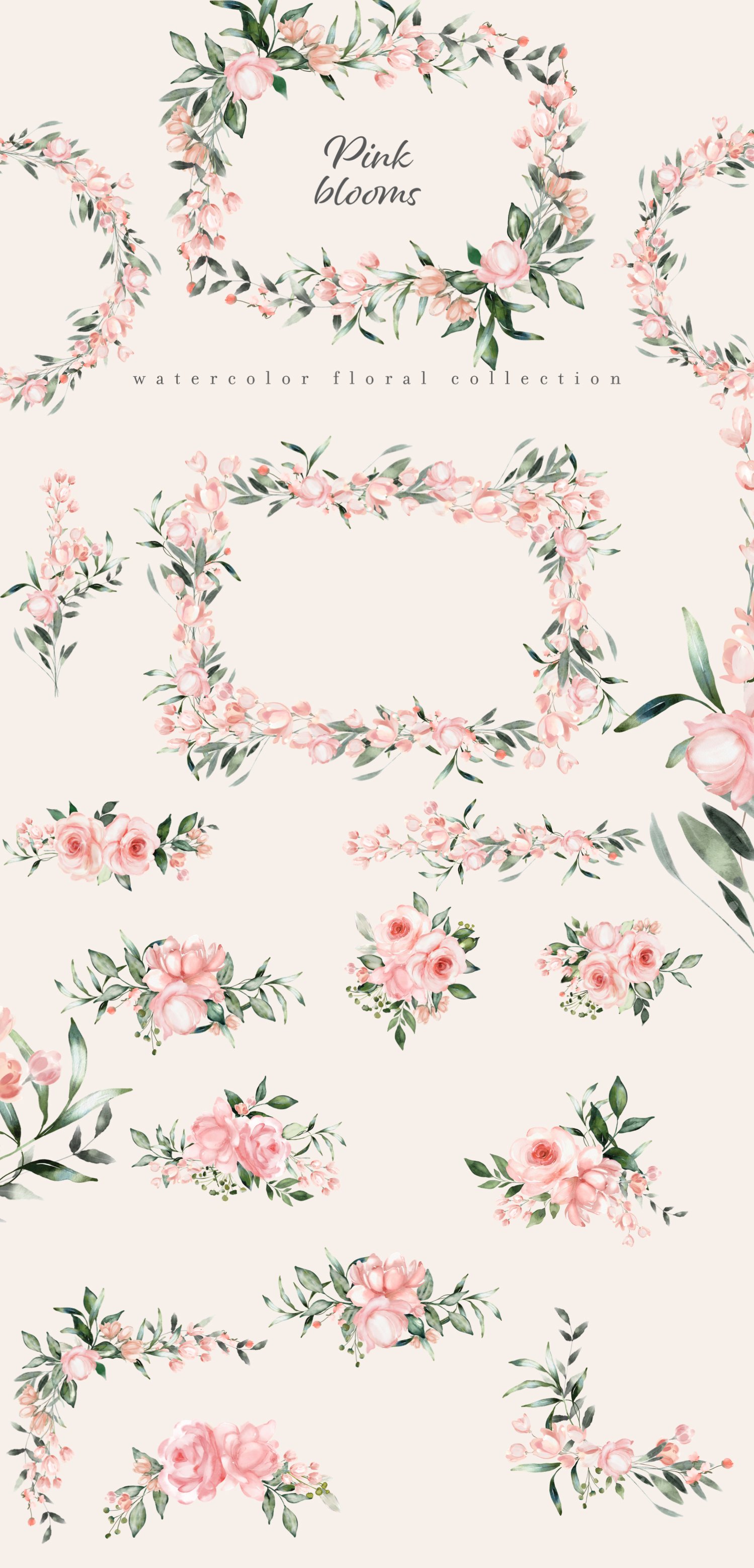 Watercolor Blush Pink Rose Clipart Set