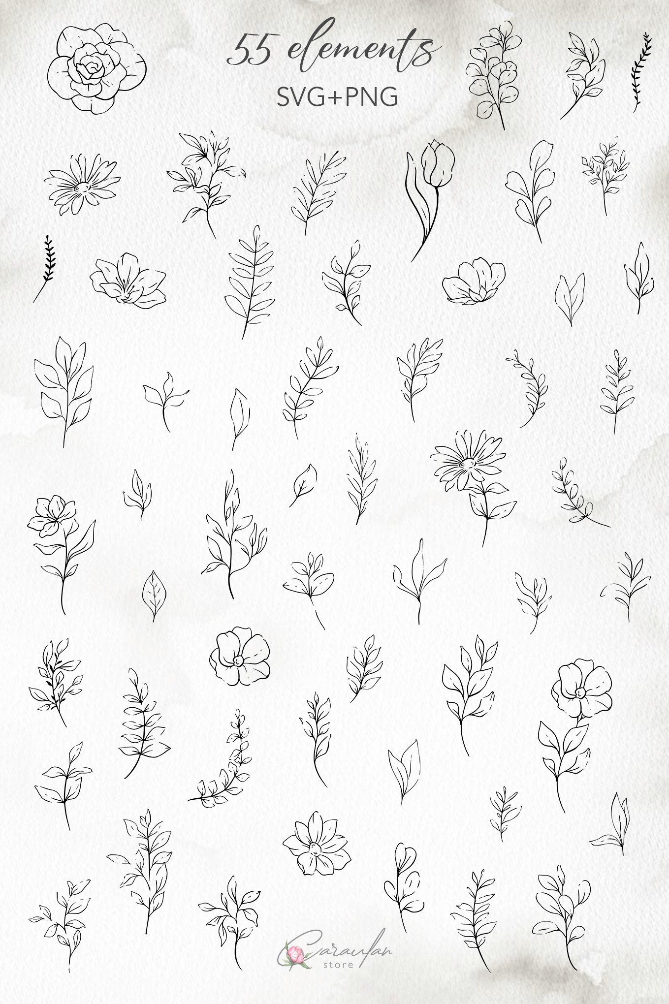 Floral Line Art SVG, Greenery Outline PNG, SVG Flowers