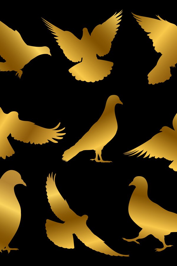 Golden dove silhouettes isolated on black background