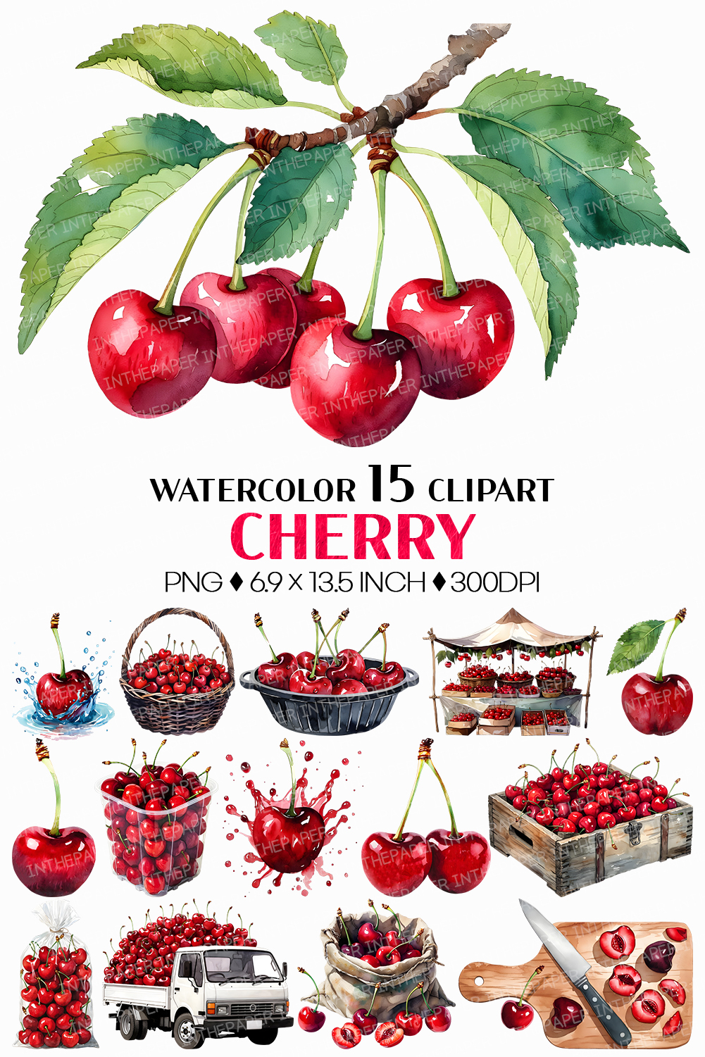 Cherry | Watercolor fresh citrus fruit farm harvest png Clip