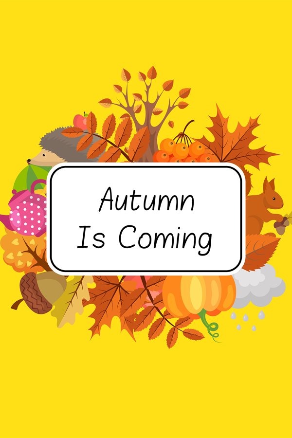 Vector cartoon autumn elements set and leaves