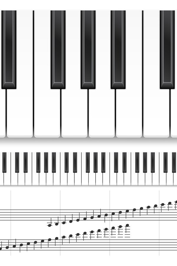 Piano keyboard. Realistic music instrument top view grand pi