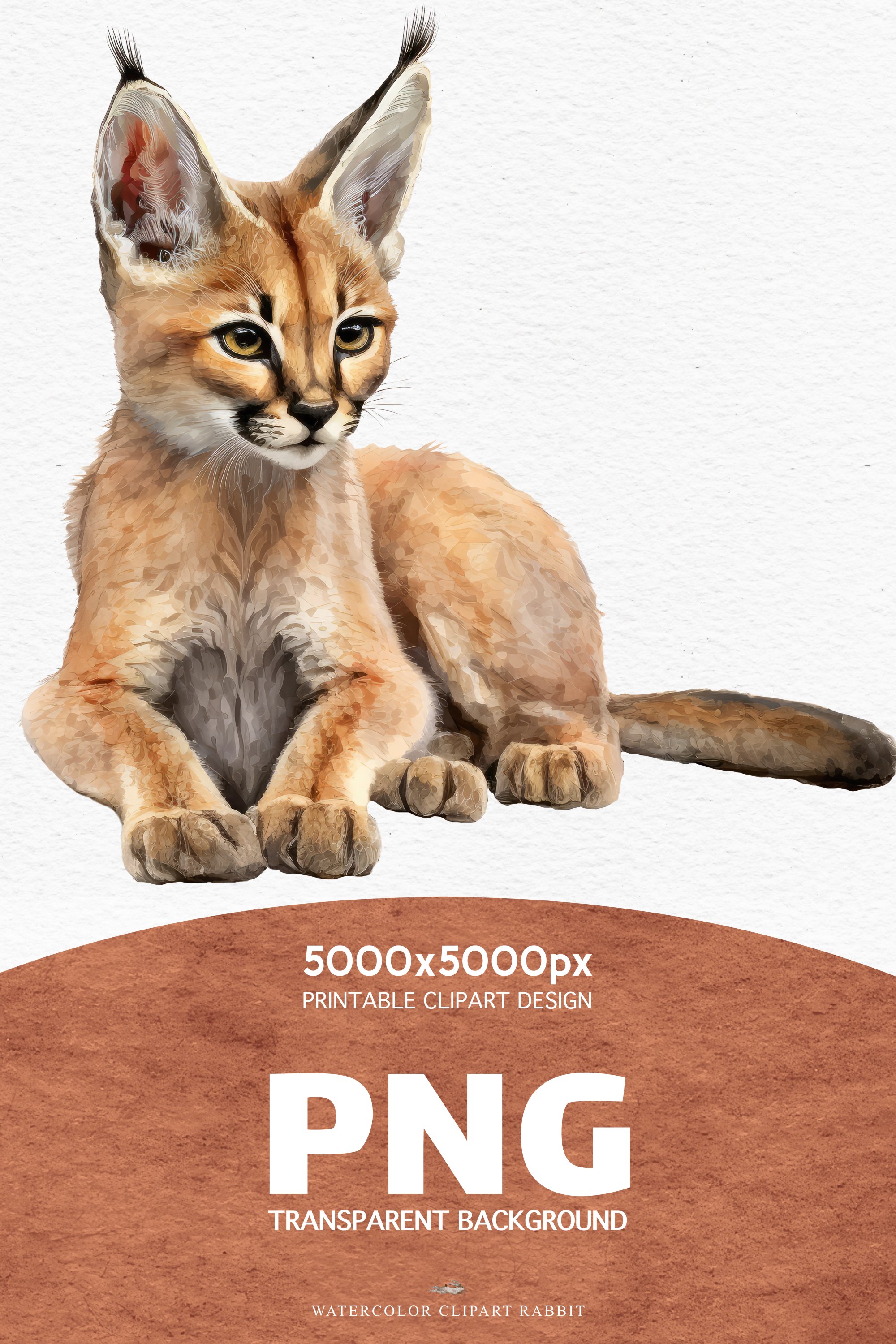 Baby Caracal Safari Animals Clipart Savanna Cats PNG Art