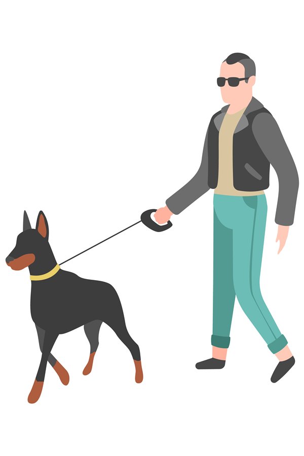 Man walking dog. Happy person walks and plays his pet, flat