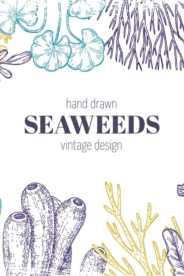 Seaweed background. Natural coral, seaweeds art sketching. A