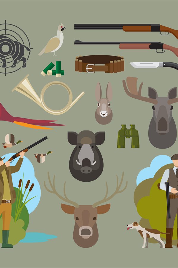 Hunting vector elements