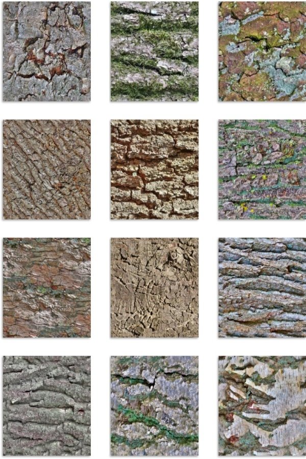 12 seamless textures of tree bark - Vol 2