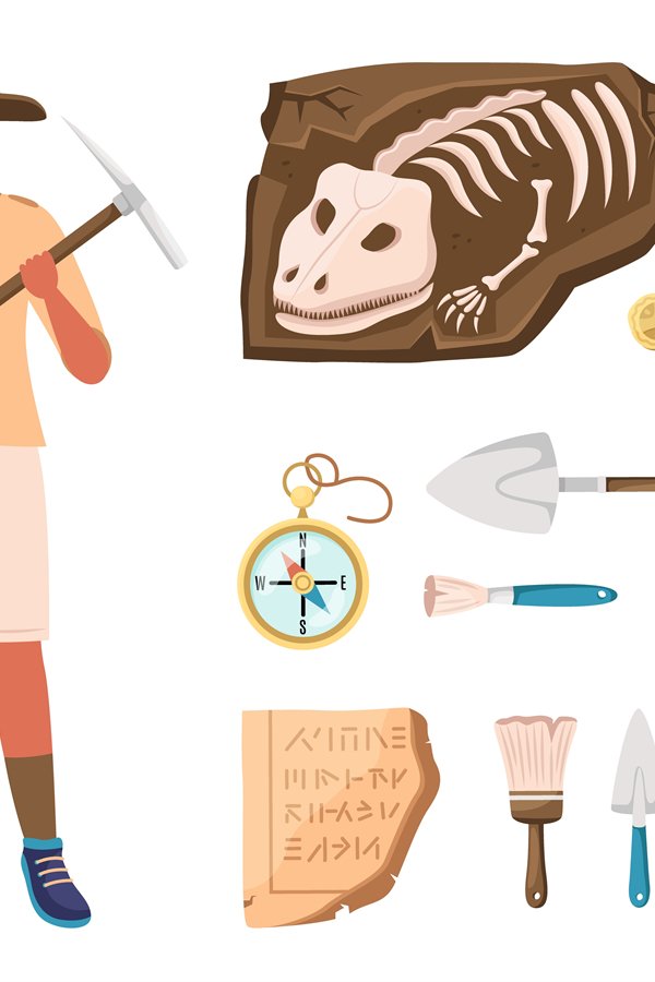 Cartoon archeology. Ancient artifacts and extinct animal fos