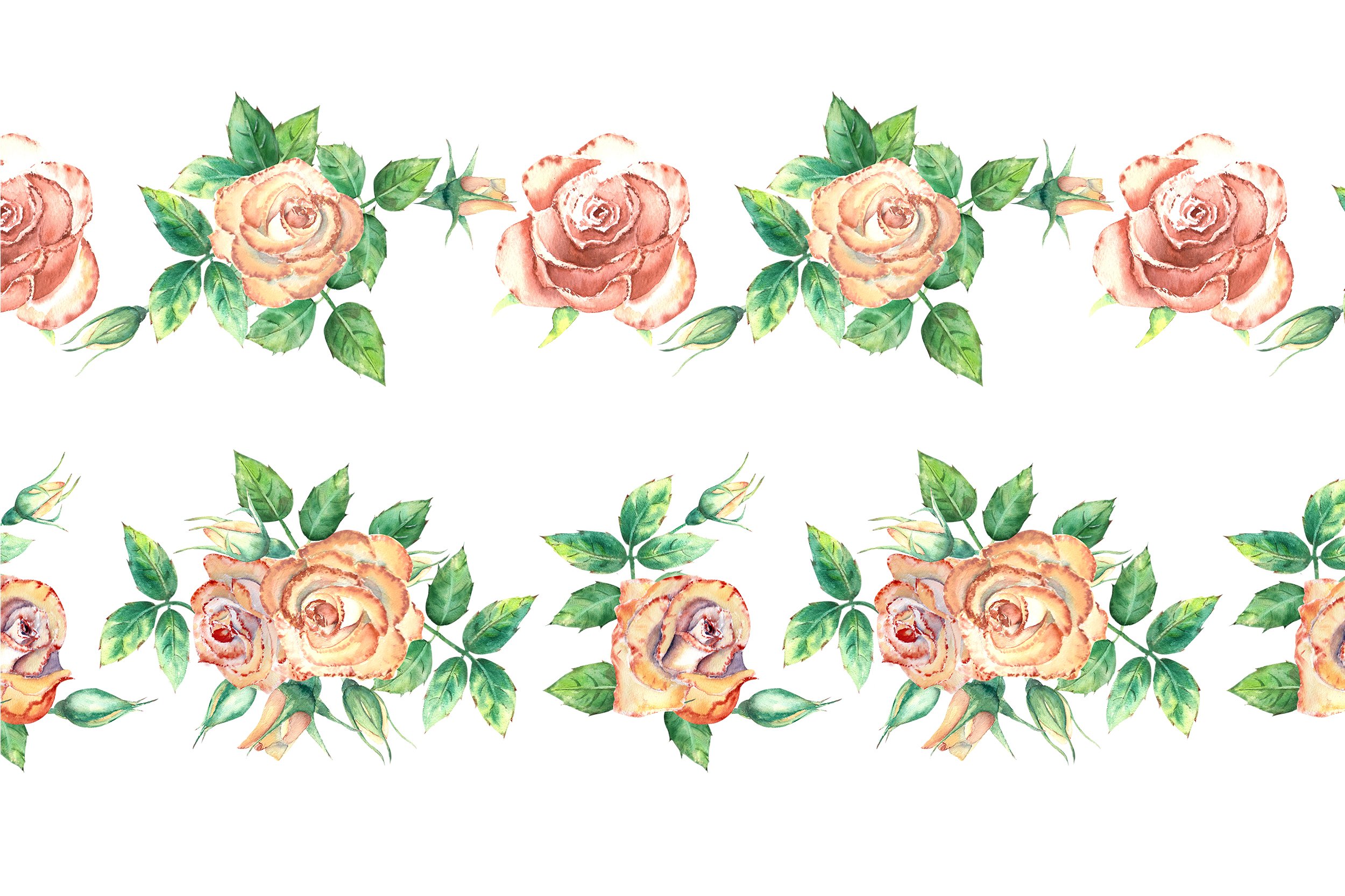 Peach rose. The repetition of the horizontal border.