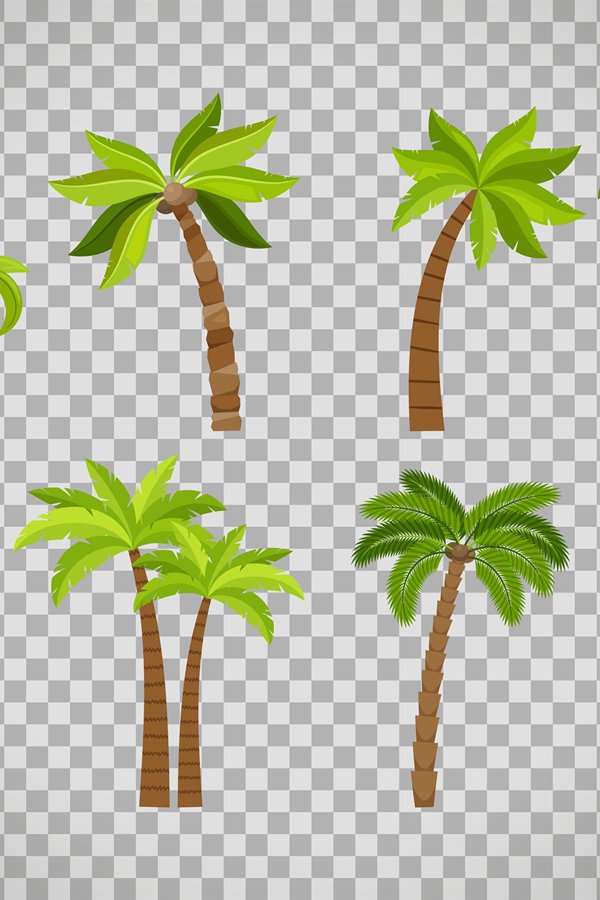Palm trees set on transparent background
