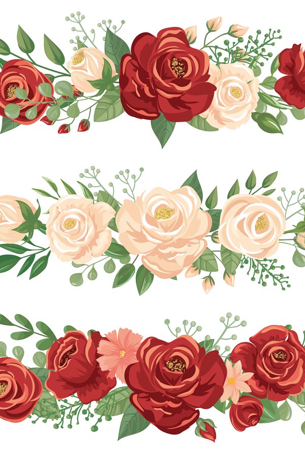 Panoramic flowers borders. Rose bud, flower border and roses