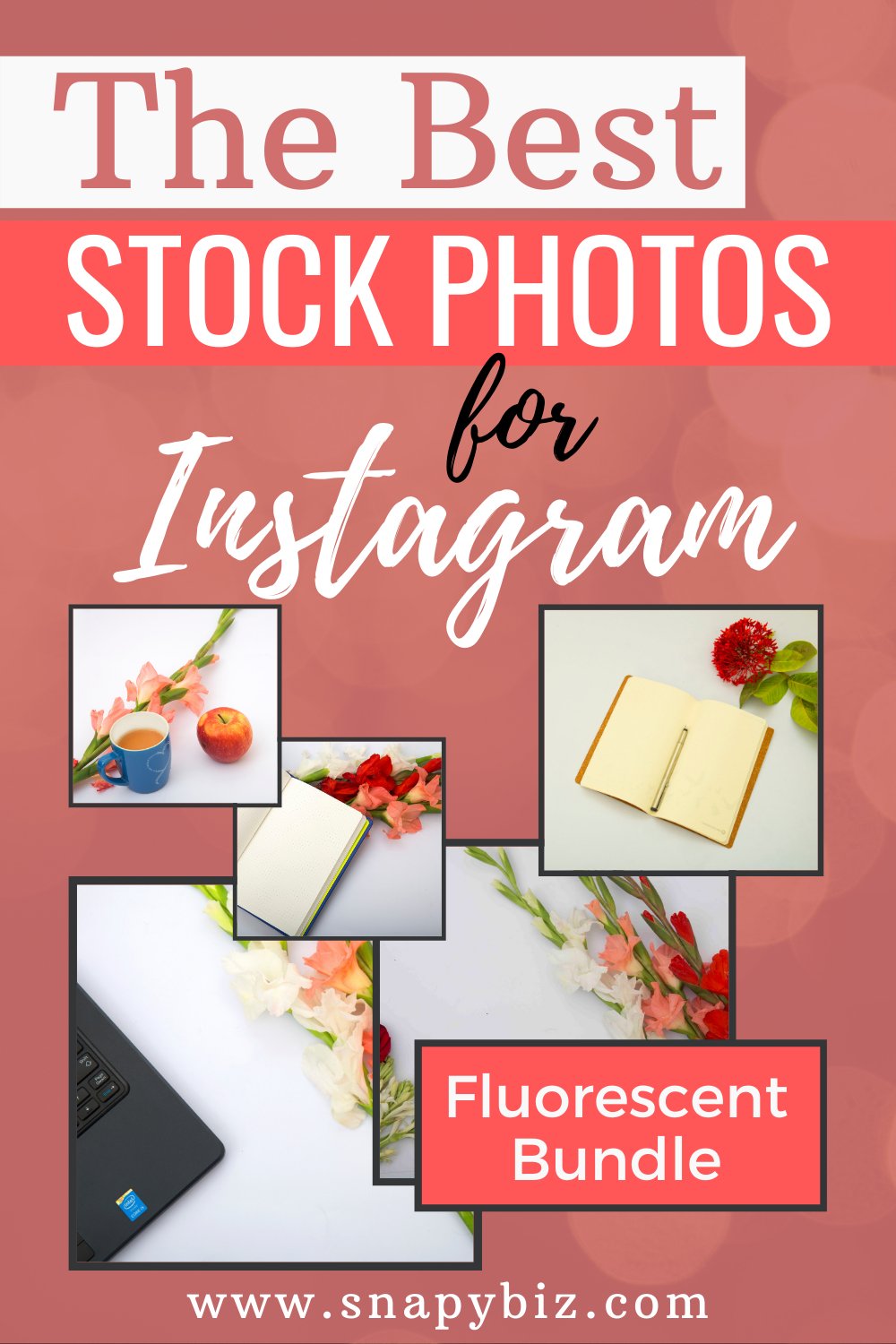 Florescent Stock Photo bundle
