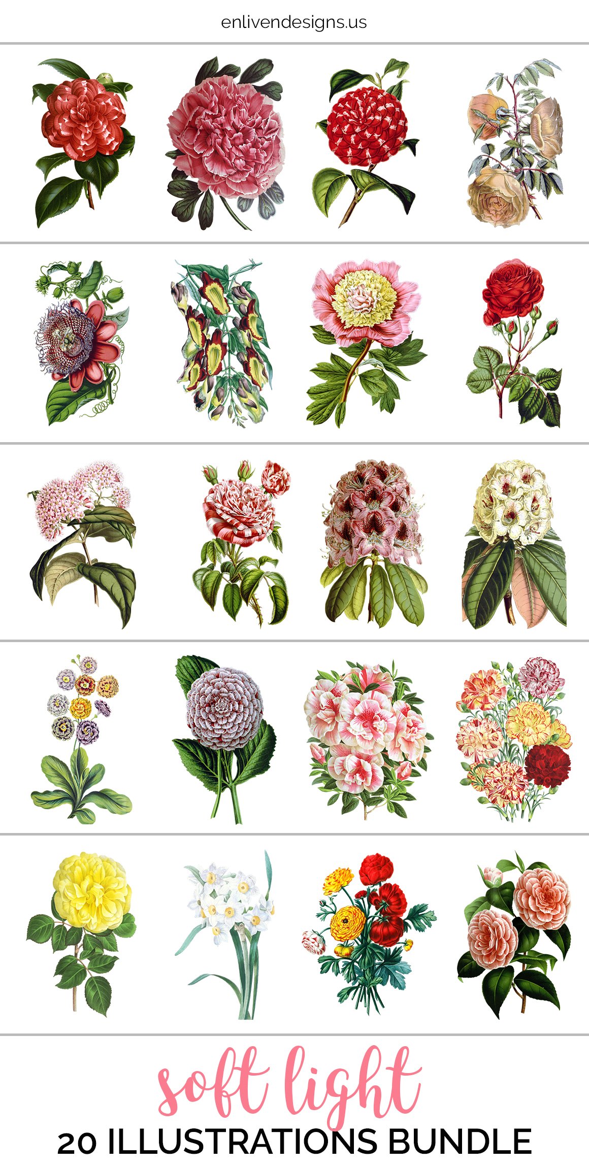 Flower Bundle Vintage Clipart (204312)