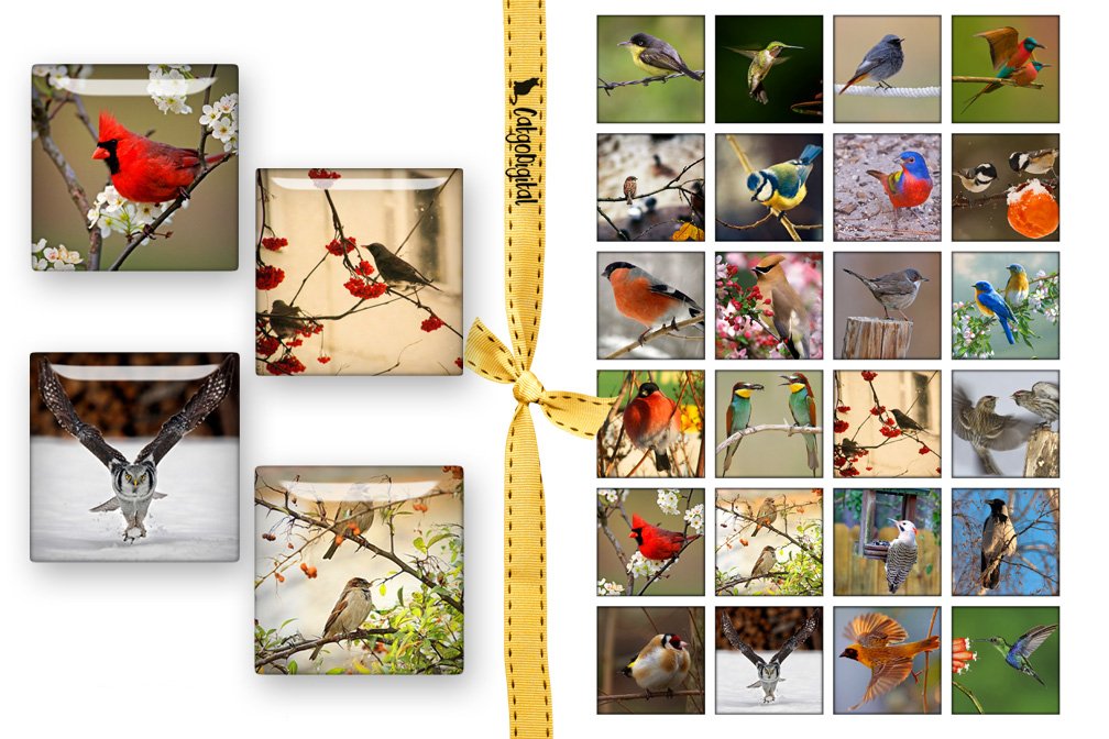 Birds Square printable images 1 inch and 1.5 inch
