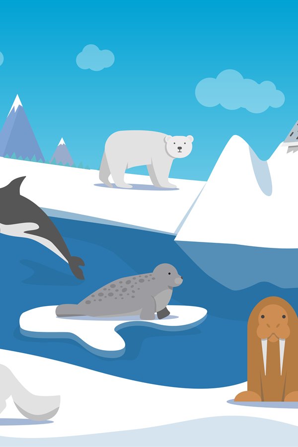 Arctic landscape with different polar animals
