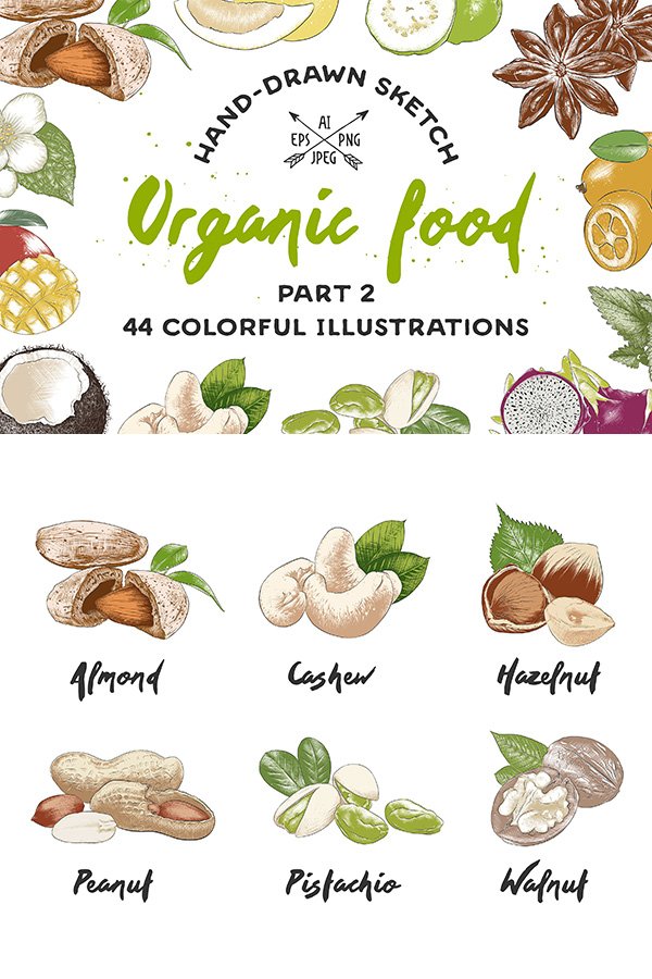 Set of 39 organic food sketches