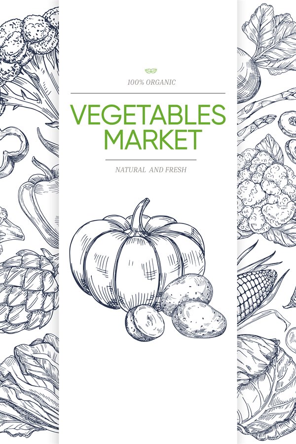 Vegetable markets banner template with hand drawn green